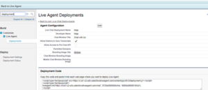 How to Implement Salesforce Live Chat Box?