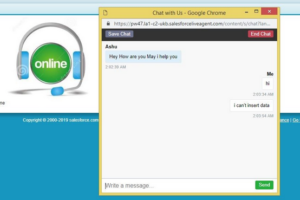 How to Implement Salesforce Live Chat Box?